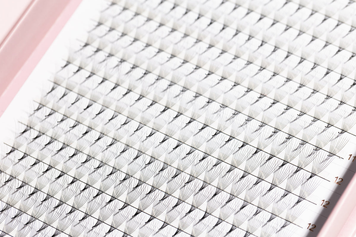 Pre made volume fans (320/tray) – beautylaboratory.com.au